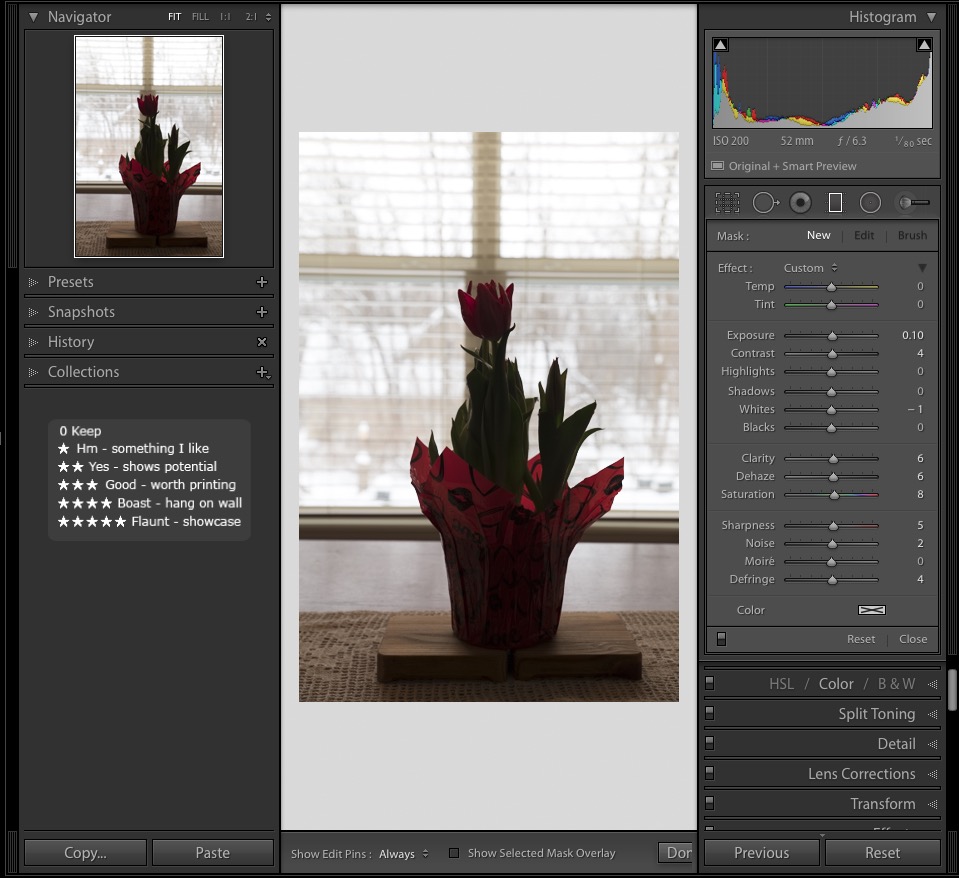 Lightroom – How to Correct Backlight Issue | KES Photography
